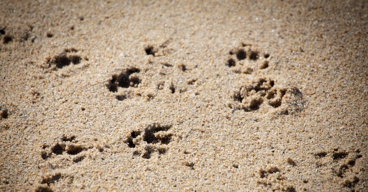 人生楽ありゃ苦もあるさ～｜Yoshiya｜note