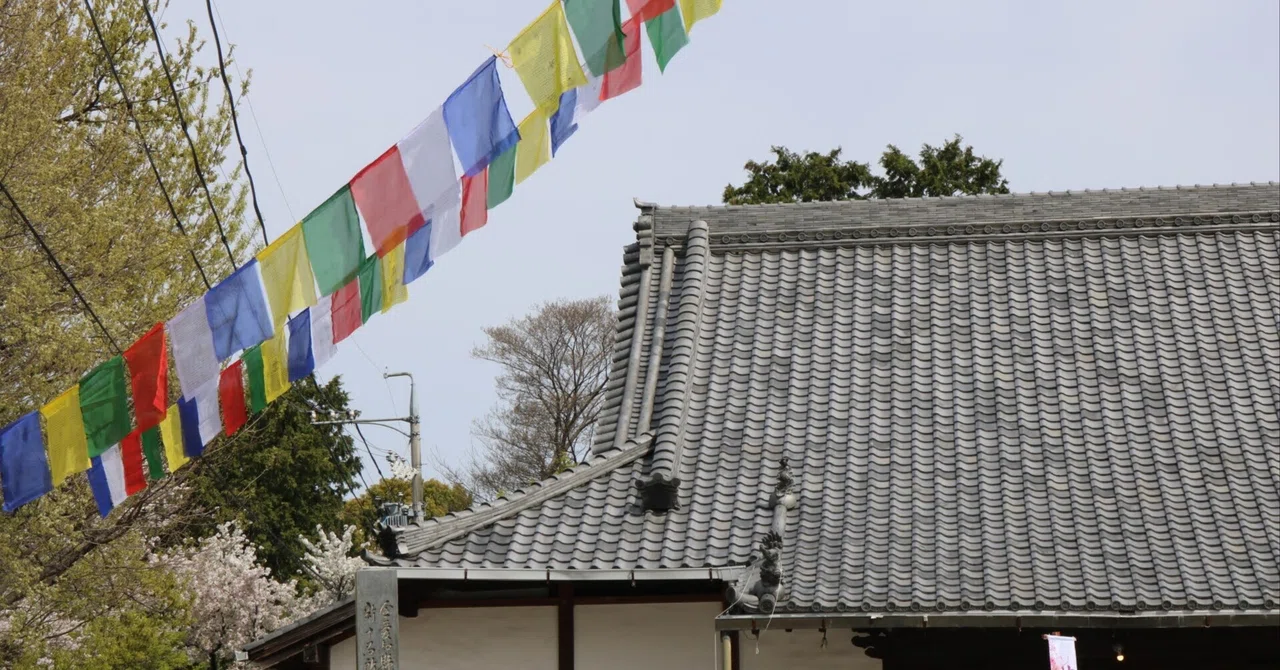 【国内放浪記2024】①相生山徳林寺（愛知）｜nnei
