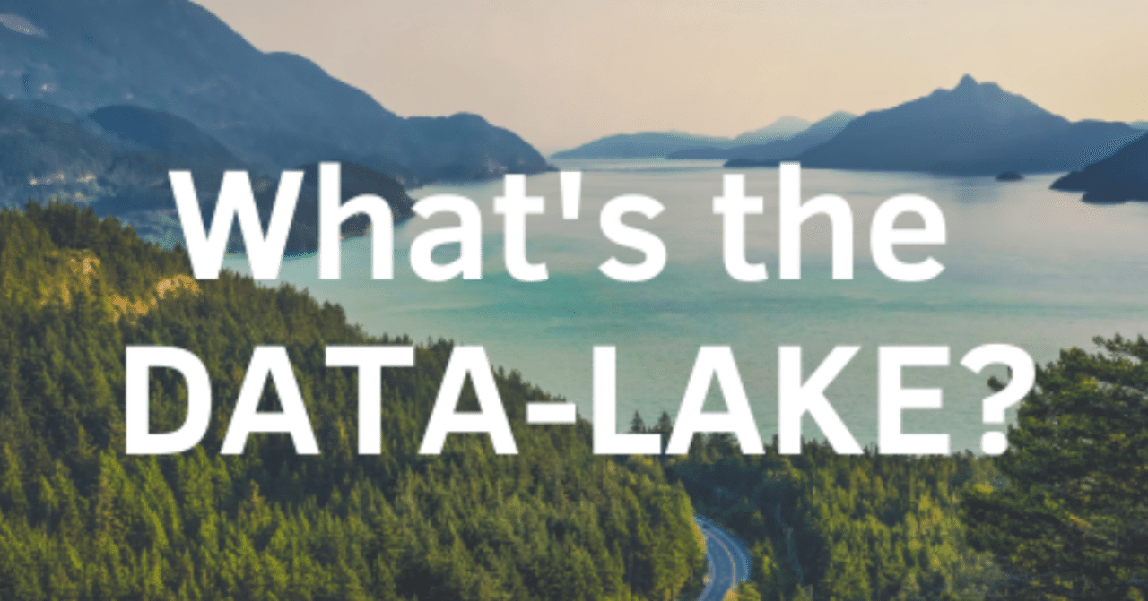 DATAFLUCTの事業を支えるデータレイクとは｜DATAFLUCT