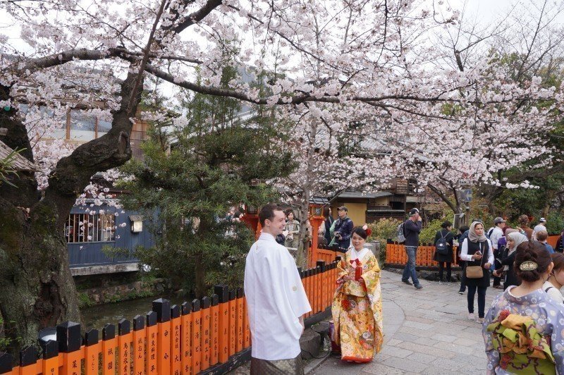 京都は外国人の結婚式場になっているのか？｜yasuu kusayan