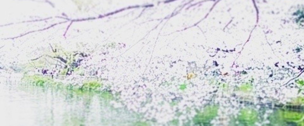 YOGA IS HOW TO LIVE.｜miyoga