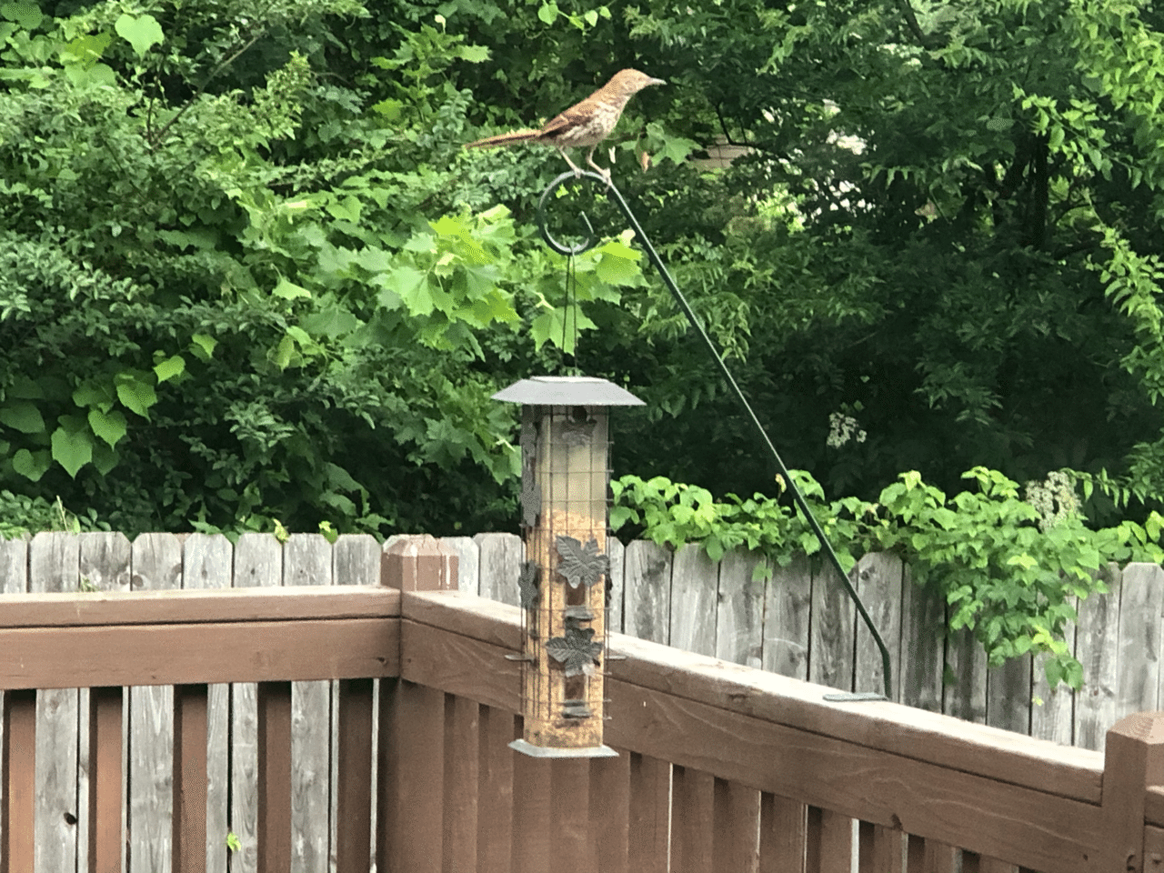 気になる動画は何度も観る③(まとめ)｜Hiroko｜note