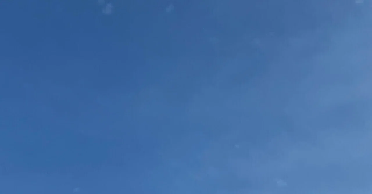飛ぶ鳥の 流れる影と 交わす朝｜西藍希