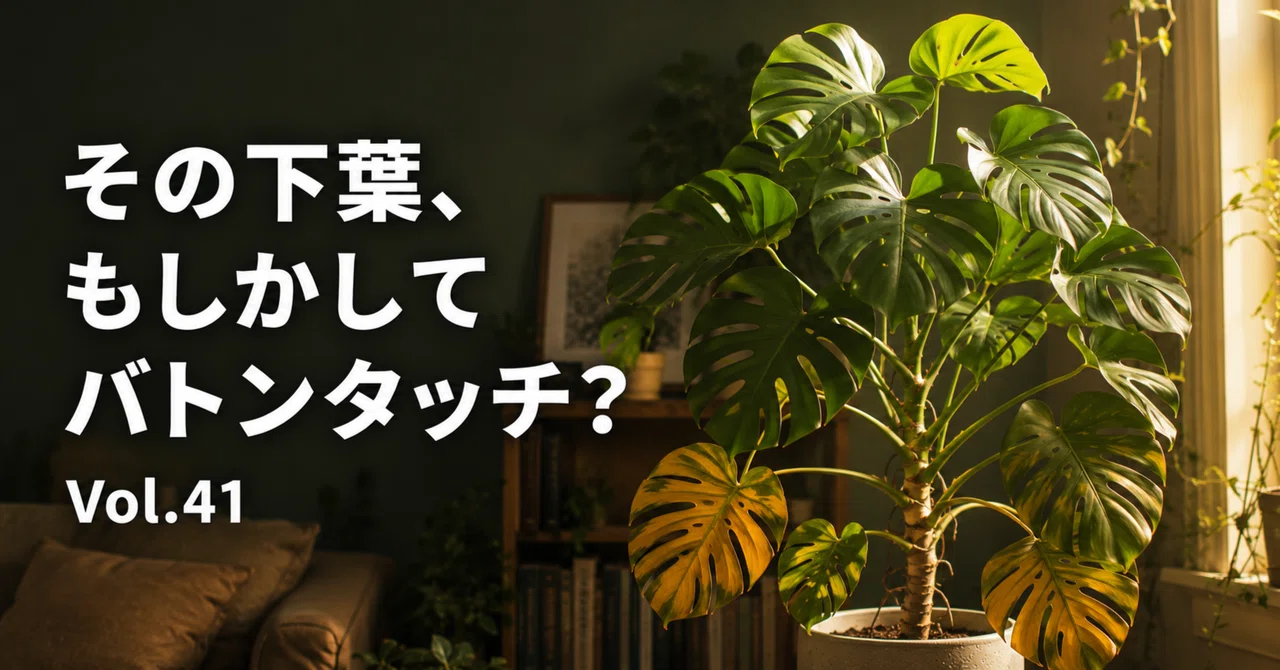 Those lower leaves, could it be a baton pass? Why plants let go of ...