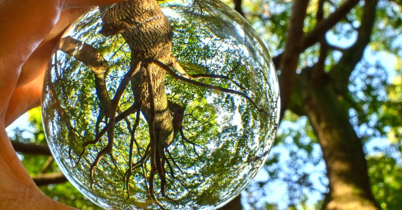 写真を撮る＝撮影者が世界をどう観ているのか？｜GON