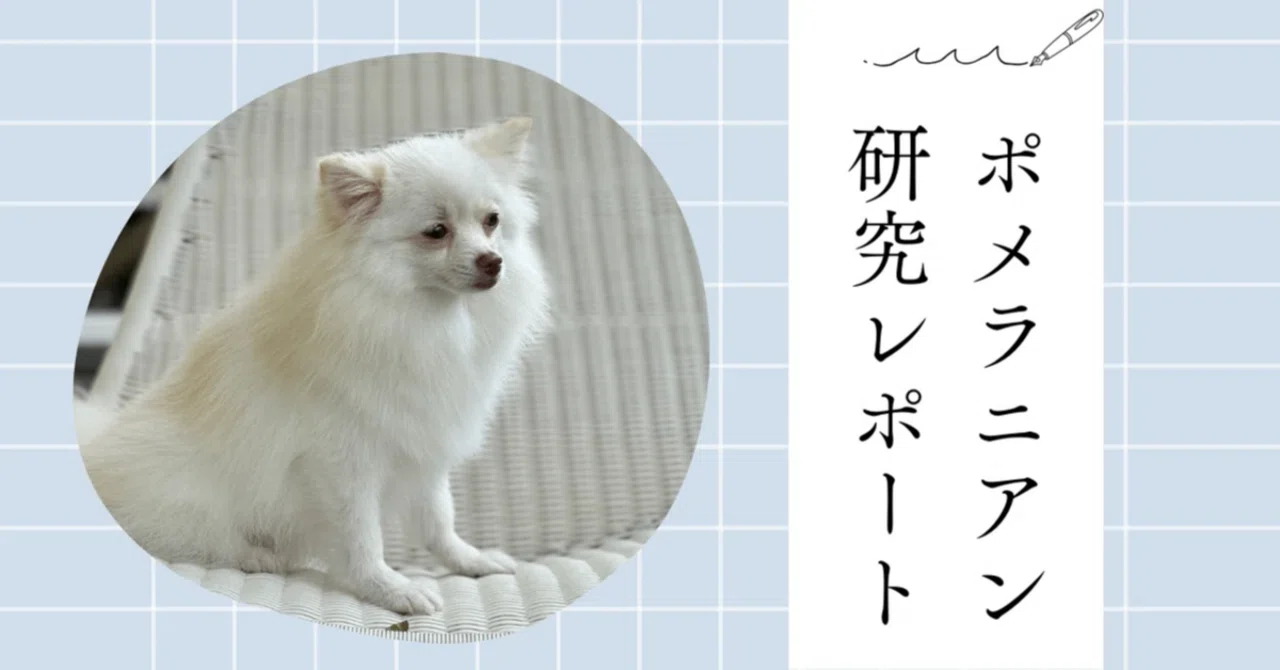 noteの街のセラピー犬。【愛犬編】愛犬の表情を読む力がほしいなあ。7｜Luna_Pome