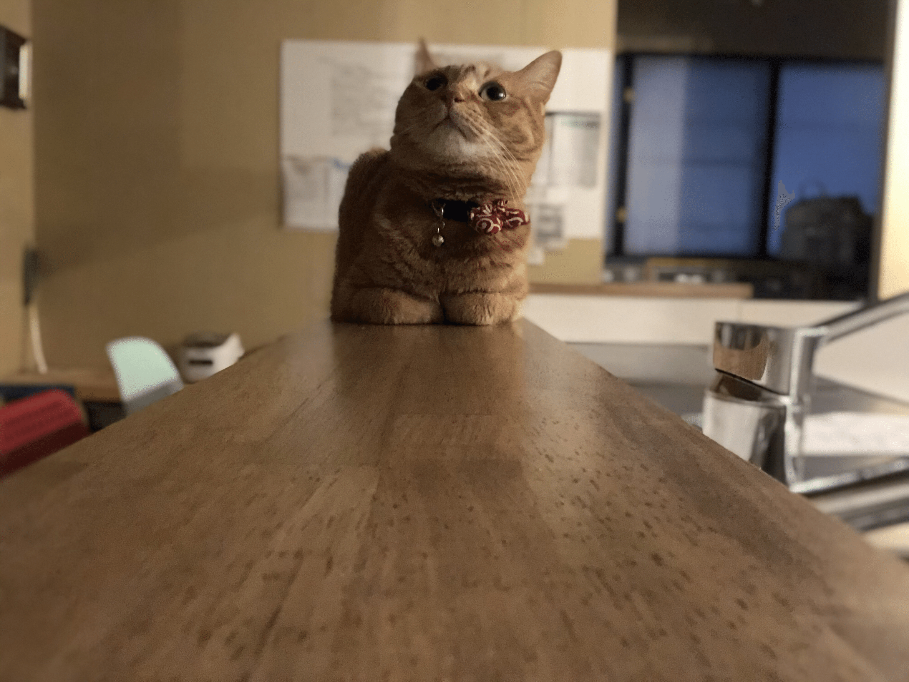 ふるかfuruka｜note