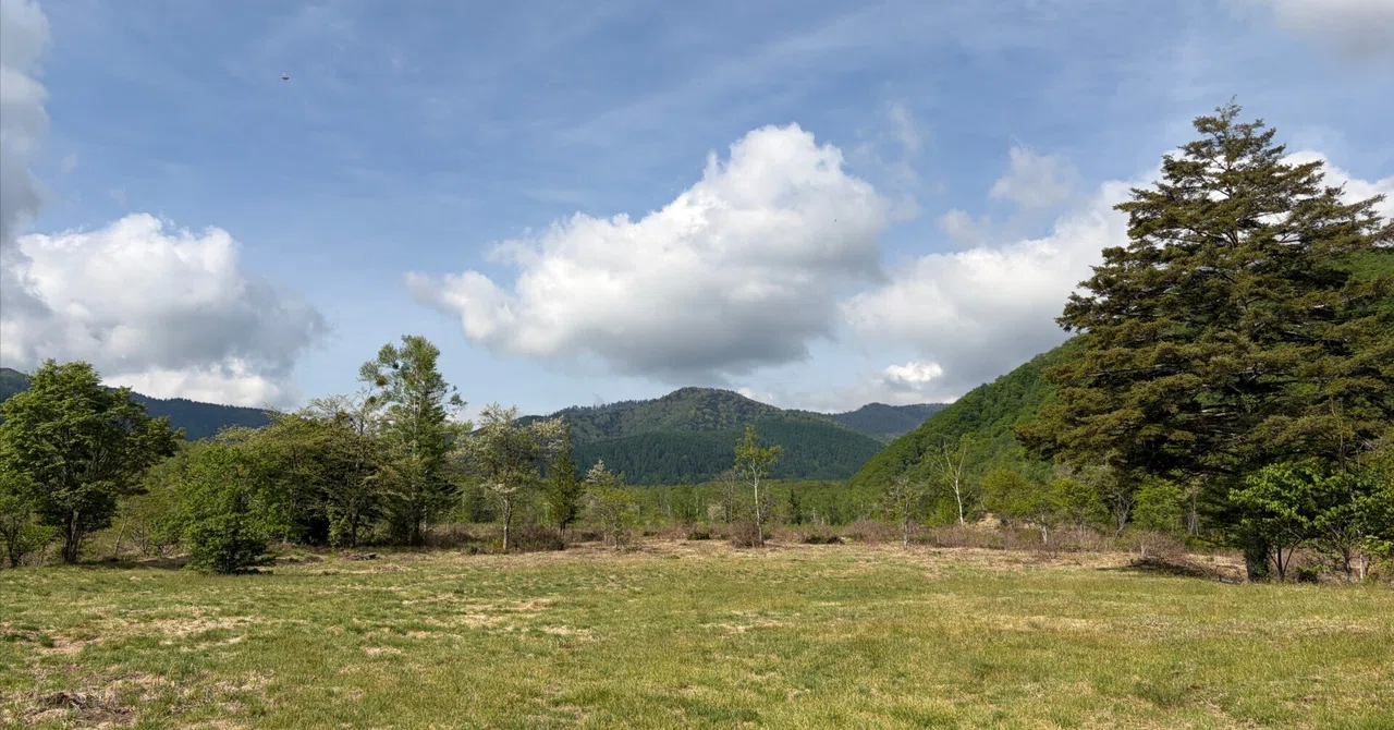 コピペ旅に疲れたら、登山ではなくハイキングへ。セロトニンを乗鞍で。｜水筒男子@乗鞍高原 ゲストハウス準備中