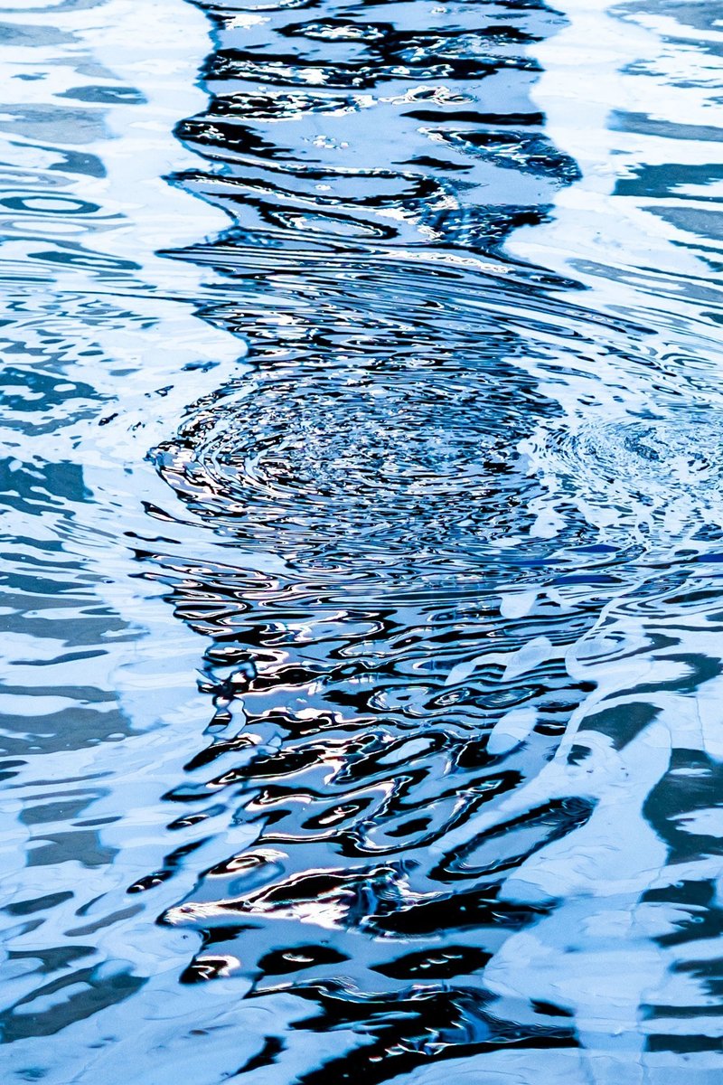 reflection/distortion_bird_05 (photo gallery)｜ぷらいまり。