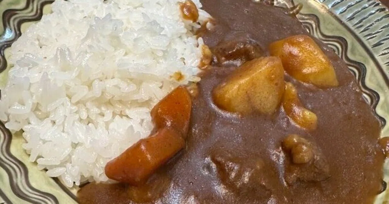 【住所不定有職】実家で食べた「母のカレー」と、記憶が毎回リセットされる「父の居酒屋哲学」 Vol.1281｜シュトロケッツ|日本・マレーシア ...