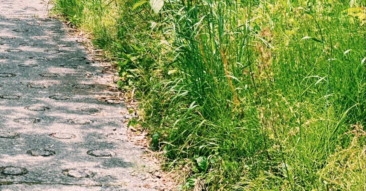 電車の中から｜mimi