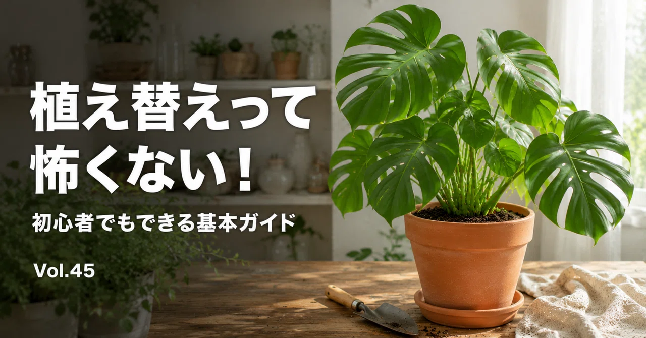 植え替えって怖くない！初心者でもできる【基本ガイド】｜Biophilic Style