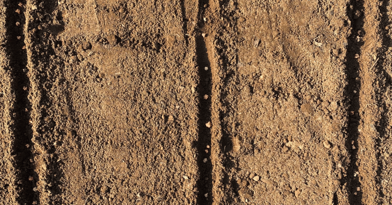 畑便り ＃1｜yoshimura momoka｜note