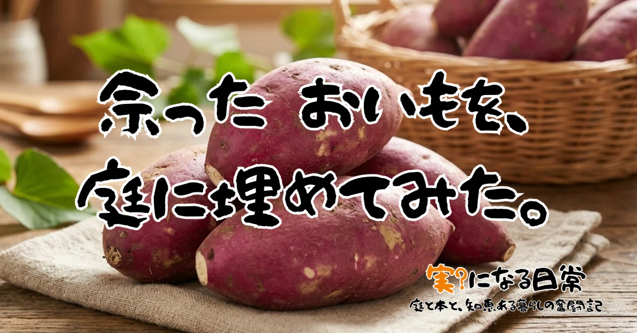 実？になる日常｜余った おいもを、庭に埋めてみた。｜実？になる日常｜庭と本と、知恵ある暮らしの奮闘記