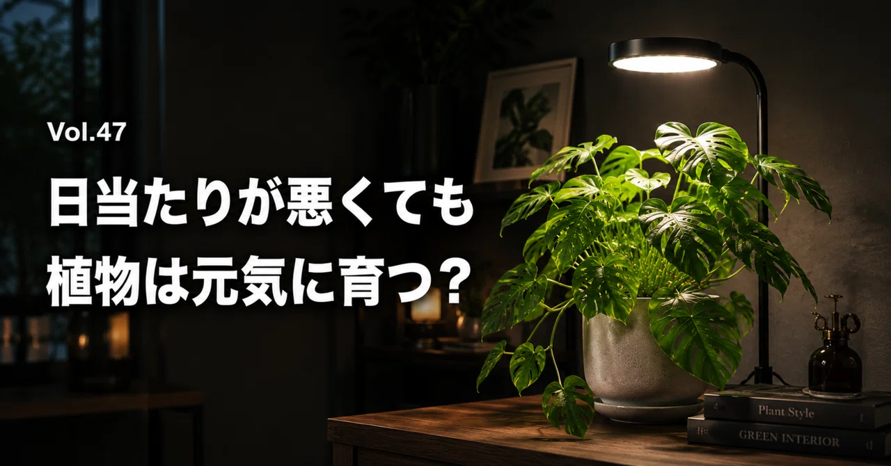 日当たりが悪くても植物は元気に育つ？植物育成ライトの選び方と使い方｜Biophilic Style