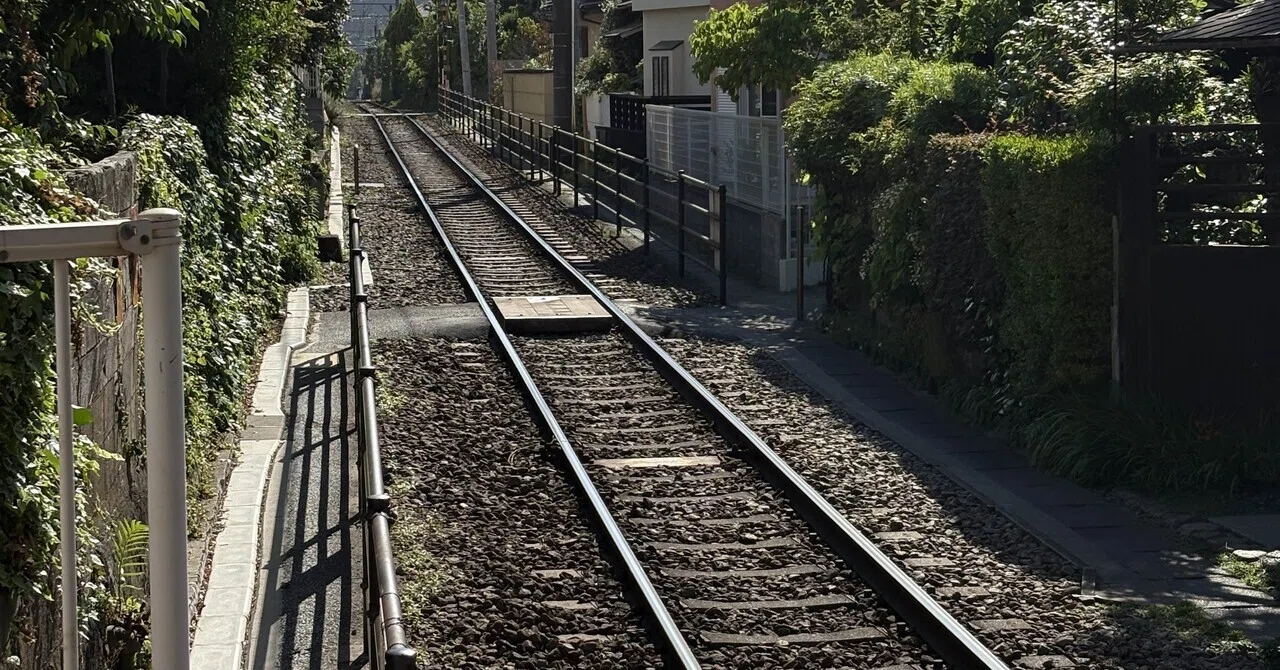 静寂に身を浸して本と戯れる｜masato kohata