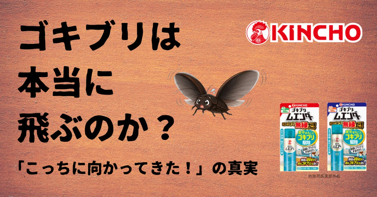 Do cockroaches really fly? Explaining the truth behind "It came right ...