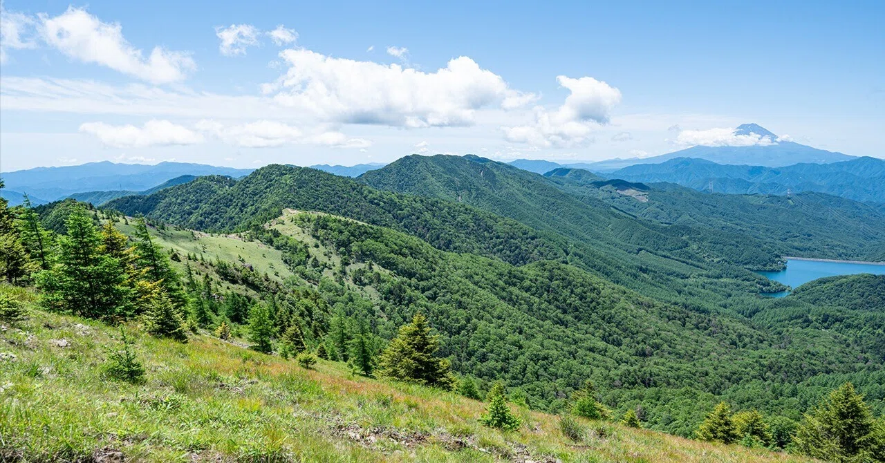 The time spent walking was a reward in itself. 3 low mountains where ...