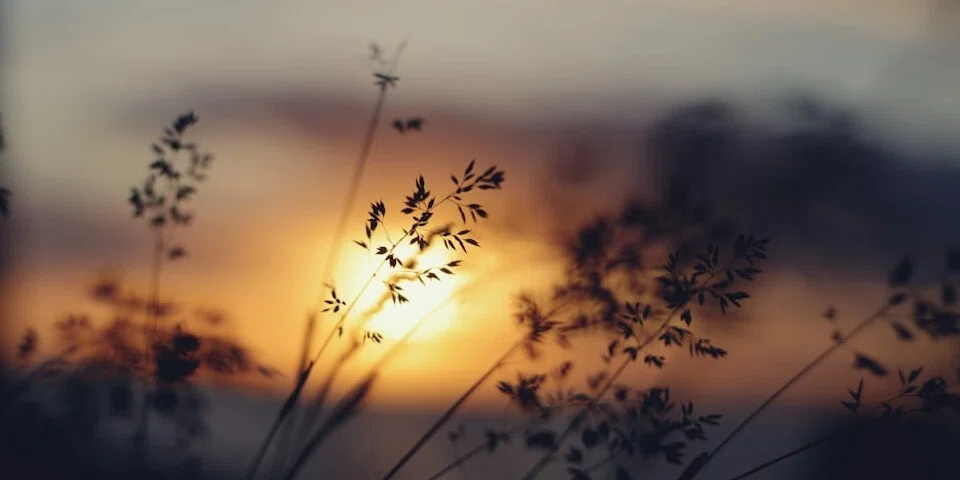月瀬 凪｜note