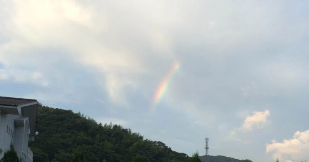The Day I Said Goodbye to Arashi, After Hiding My 'Love' for Them｜ume ...