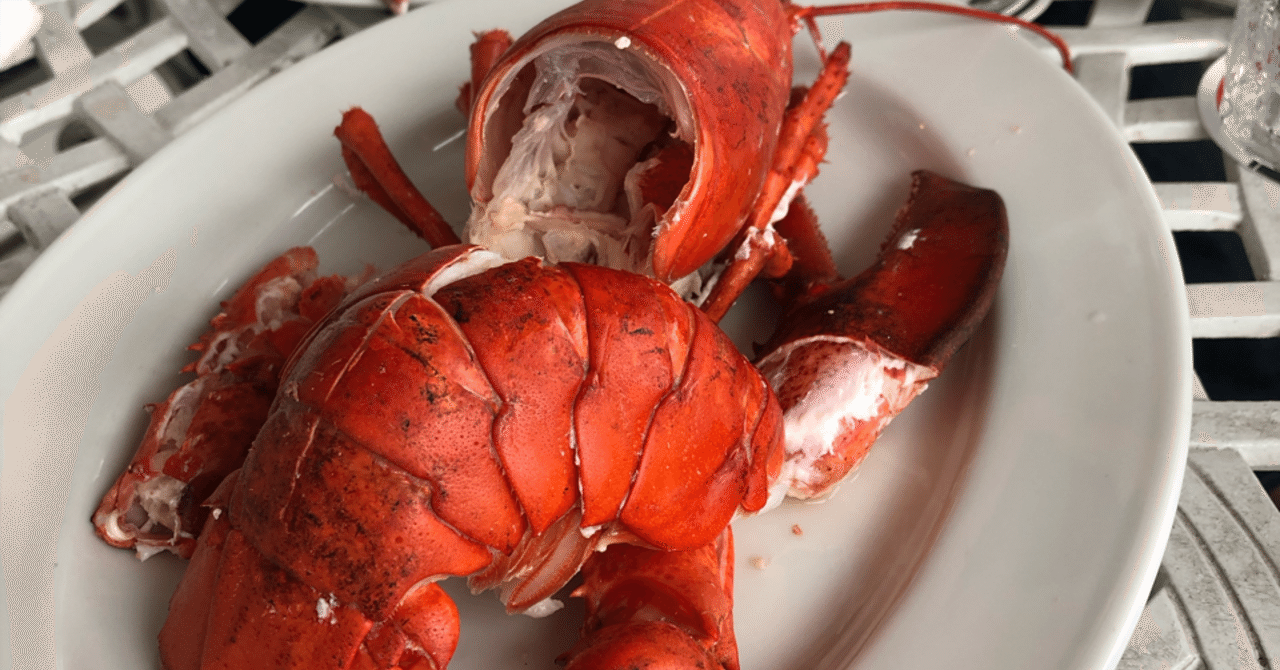 育てる、教える｜ryo｜note