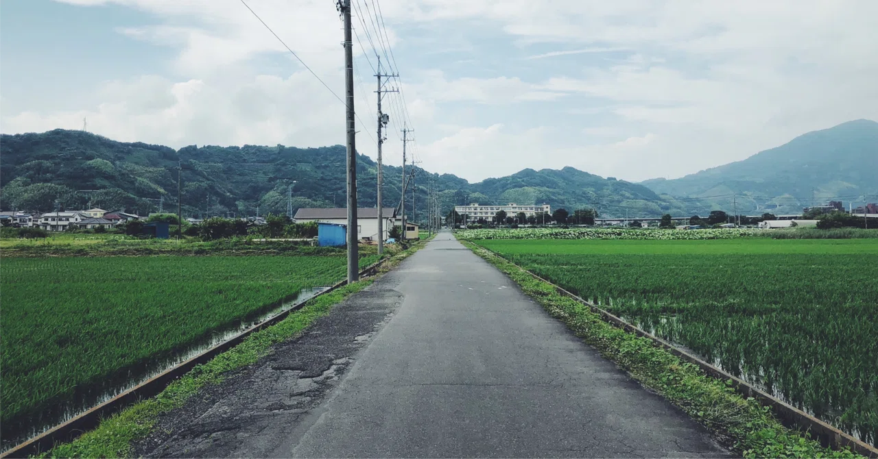 Nursery School Study Abroad Day 10: Thinking About Why My Child Has ...