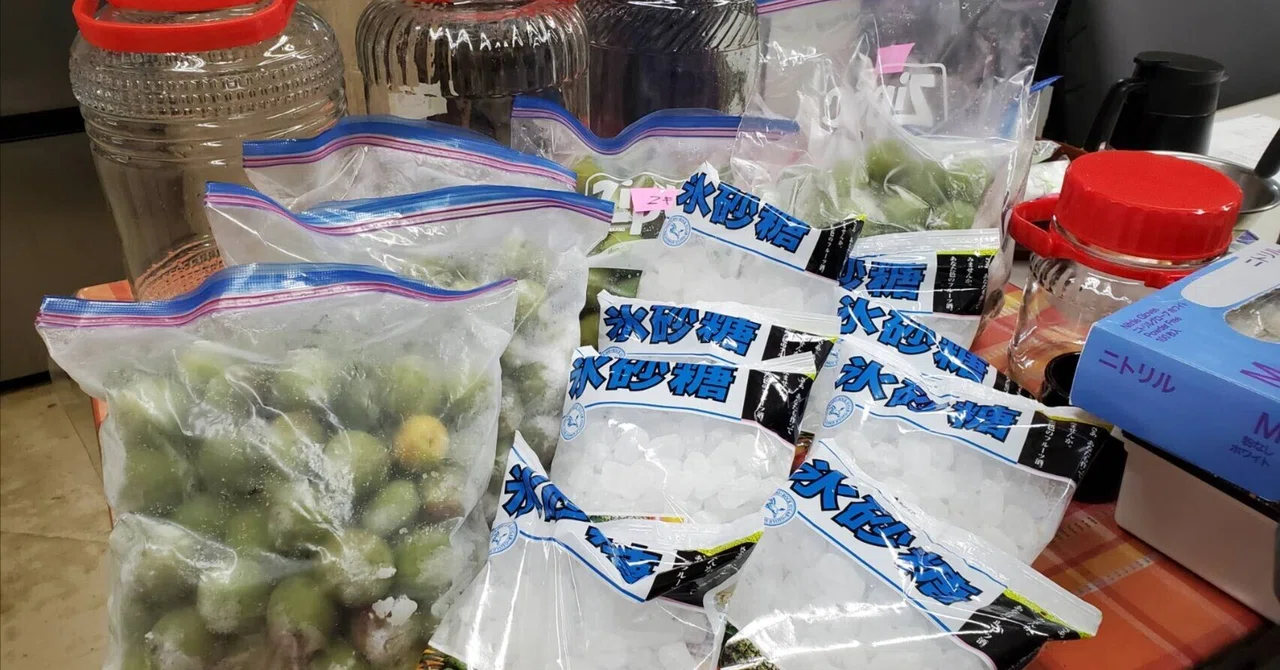 Early Summer Handiwork: Processing Plums｜川崎市黒川青少年野外活動センター