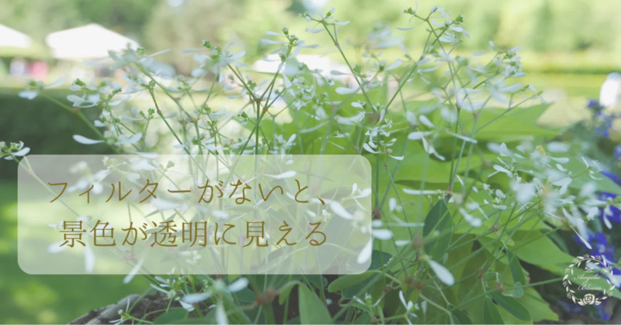「合わない人」が教えてくれた、人生の舵取りの本当の意味｜カタリスト | Angelic Bloom 花井音葉