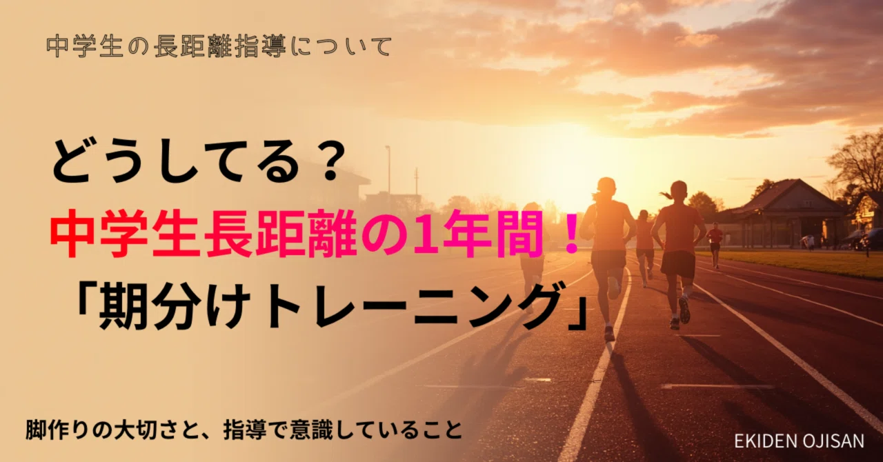 How do you do it? A 1-year guide to middle school long-distance ...
