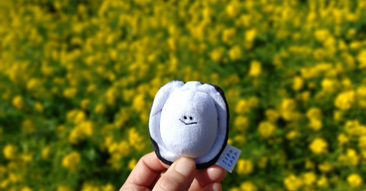 Plushie Photography and Being Around Thirty｜うら