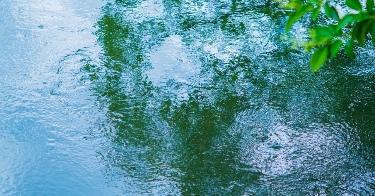 reflection/distortion_tree_01 (photo gallery)｜ぷらいまり。