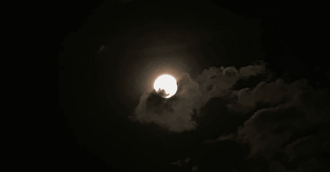 畑便り #2｜yoshimura momoka｜note