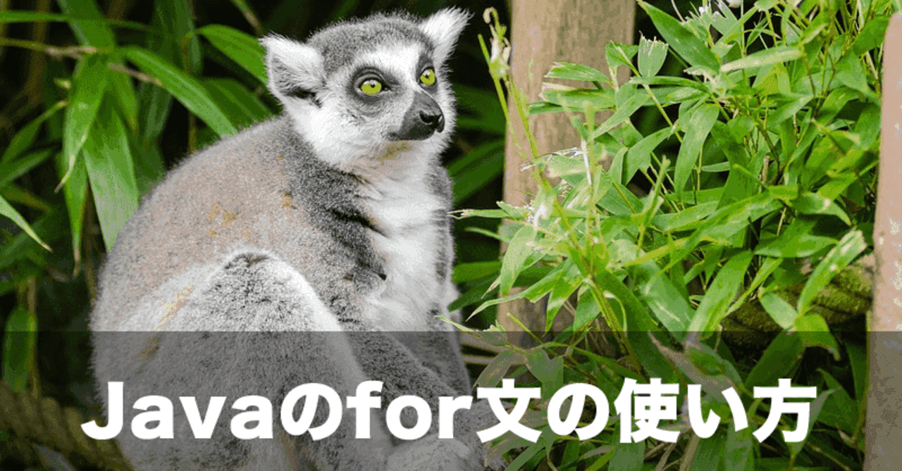 for文について vol.16｜Yuta Ishikuro