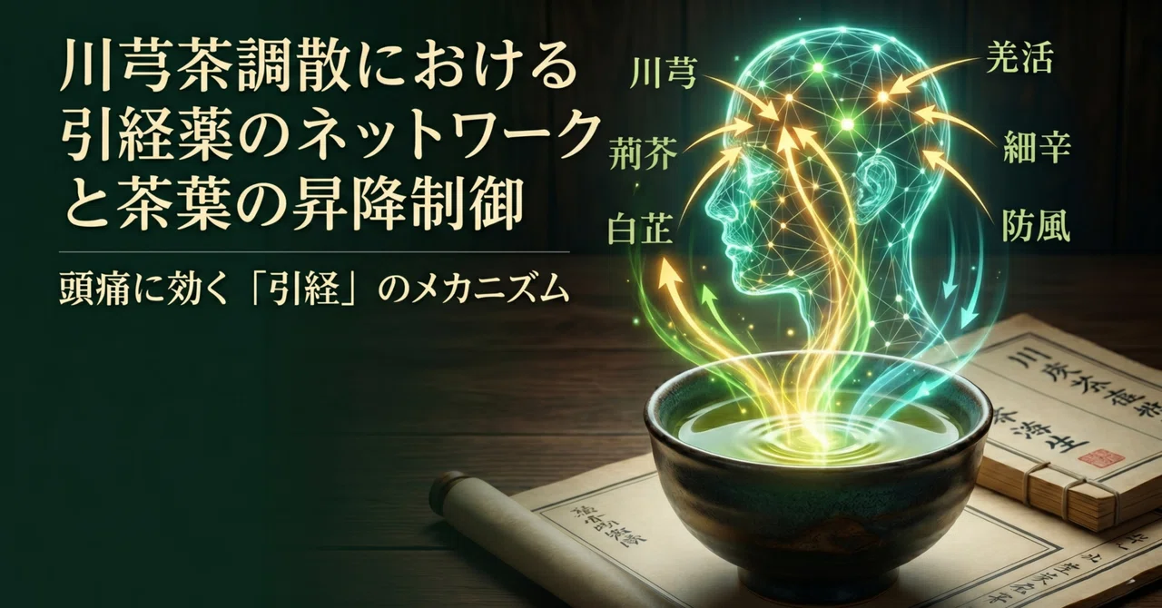 川芎茶調散における引経薬のネットワークと茶葉の昇降制御｜大松