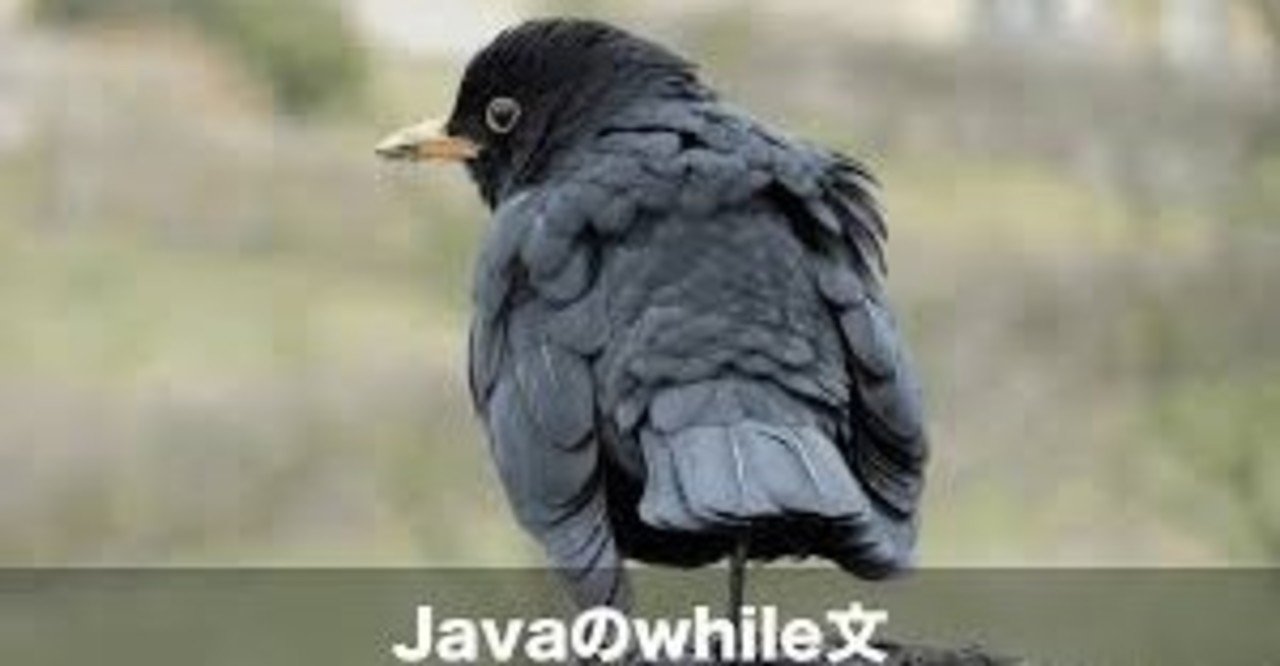 while文と繰り返し処理の変更 vol.17｜Yuta Ishikuro