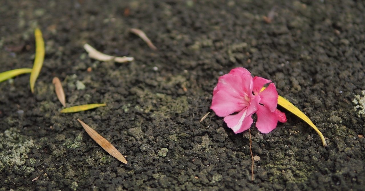 島ぐらし 虫と共に生きる｜フジケン＠流山