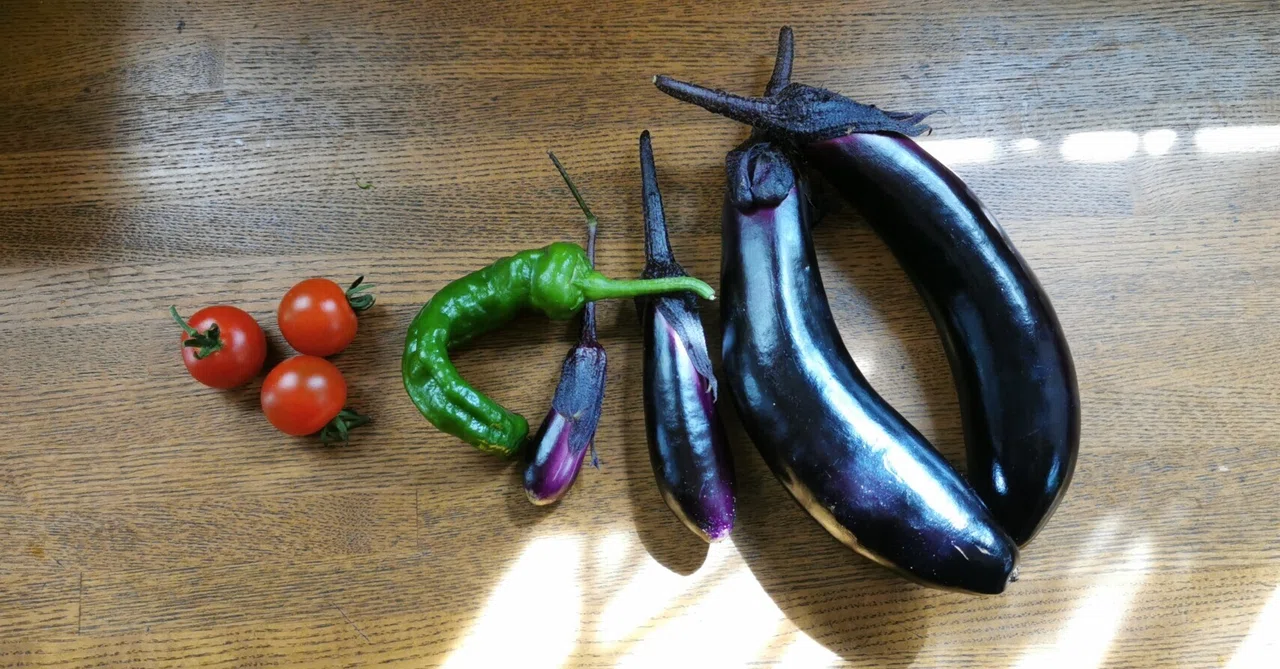 自然農に憧れた私がオルトランを使うまで｜伊ゆり