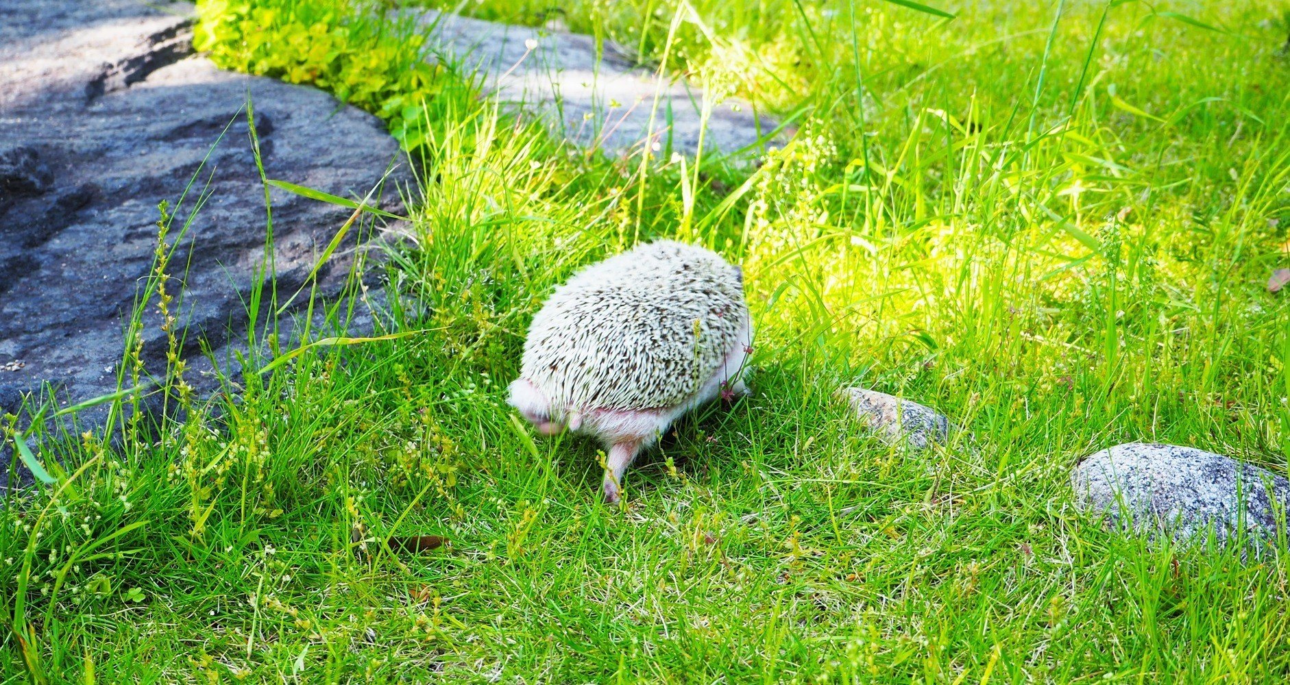 ticce ライター｜note