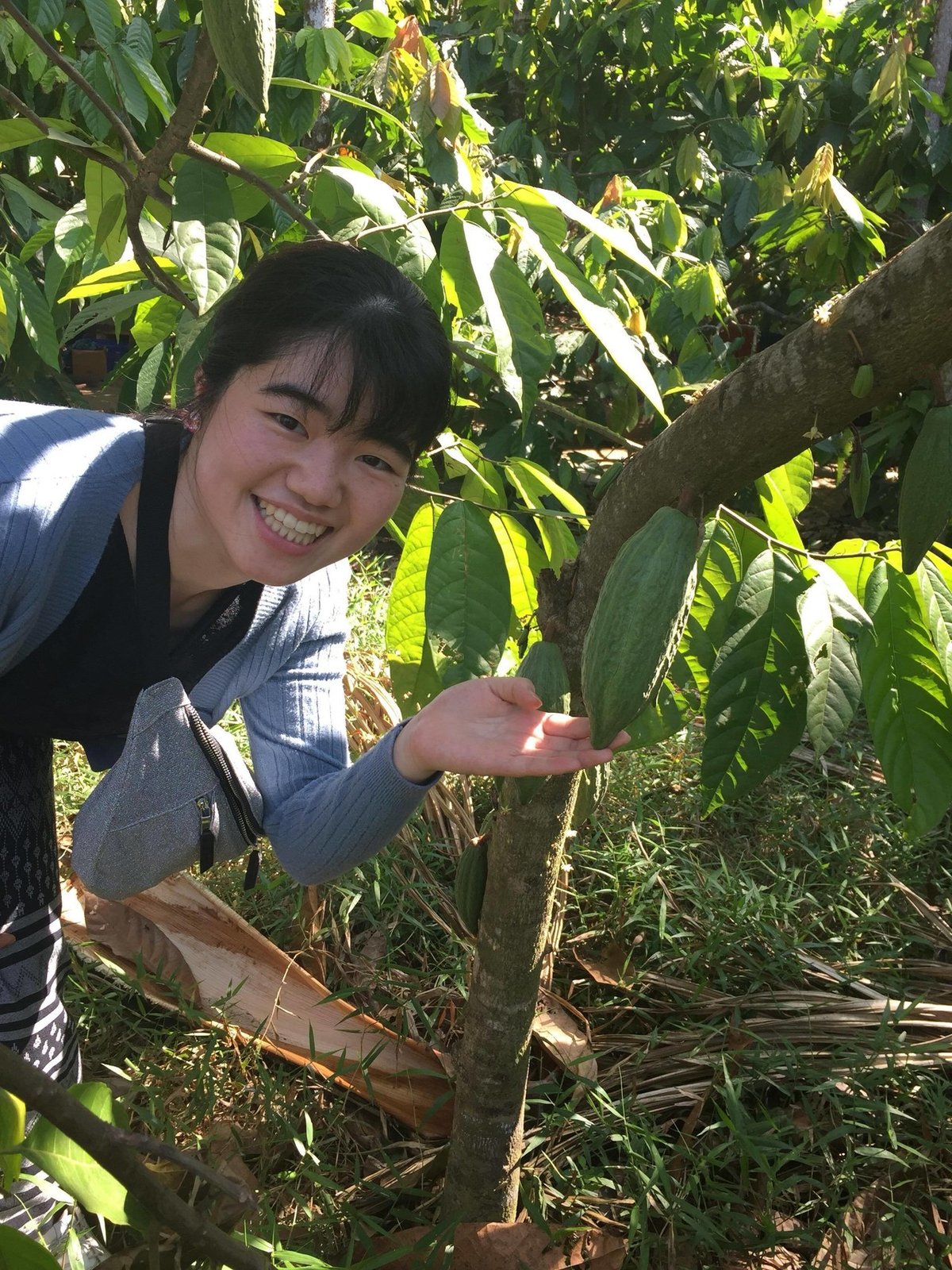ミャンマーで予防教育を広めたい。｜KBC_Keio