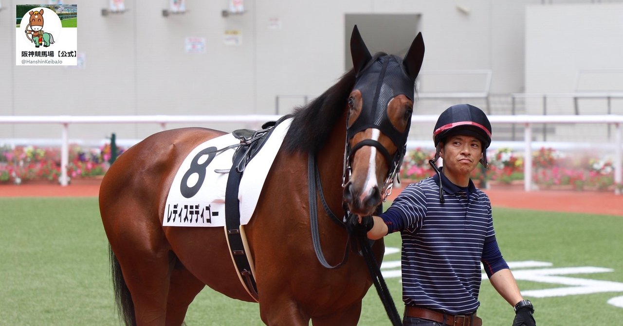 6/20（土）阪神5R 1番人気馬｜JRDB 競馬アラカルト