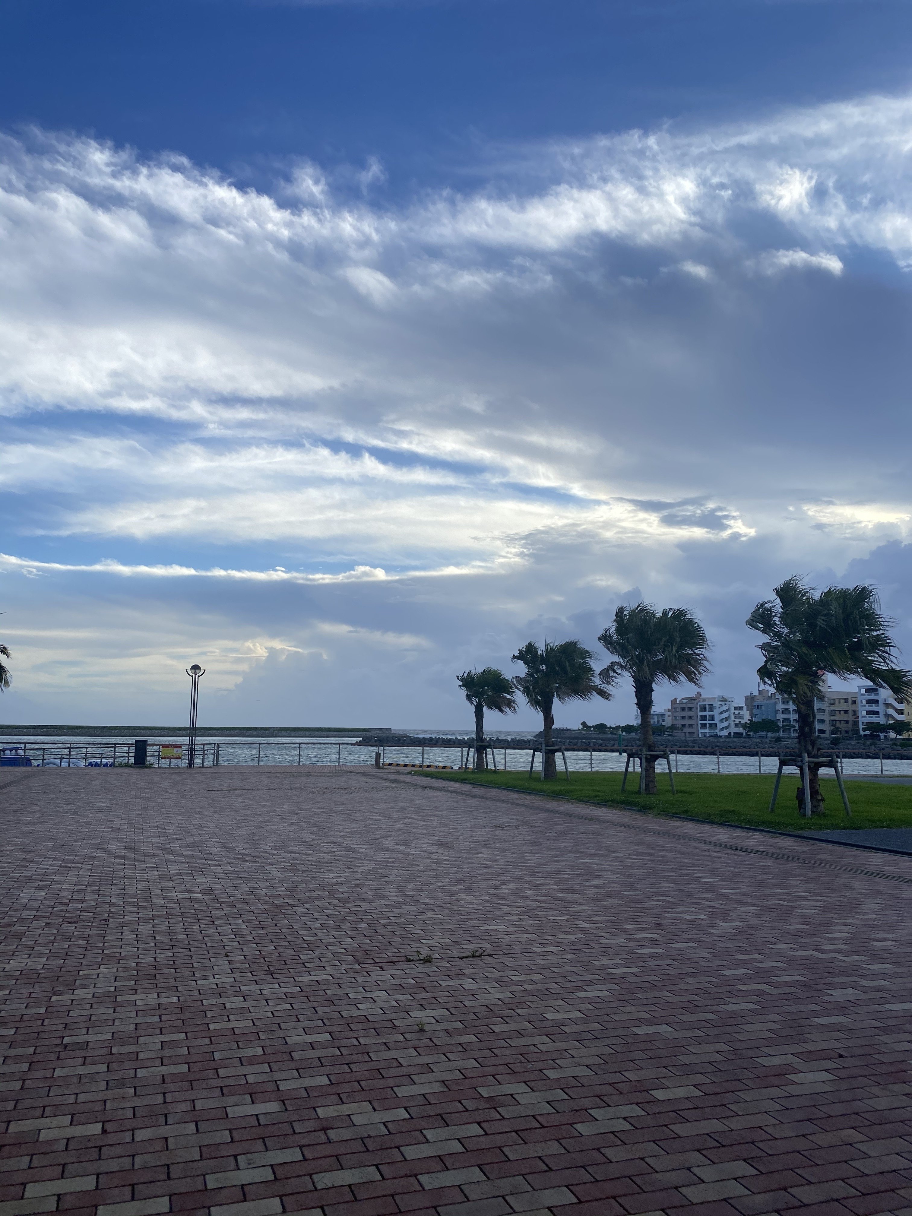 Arisa_mama_lily｜note