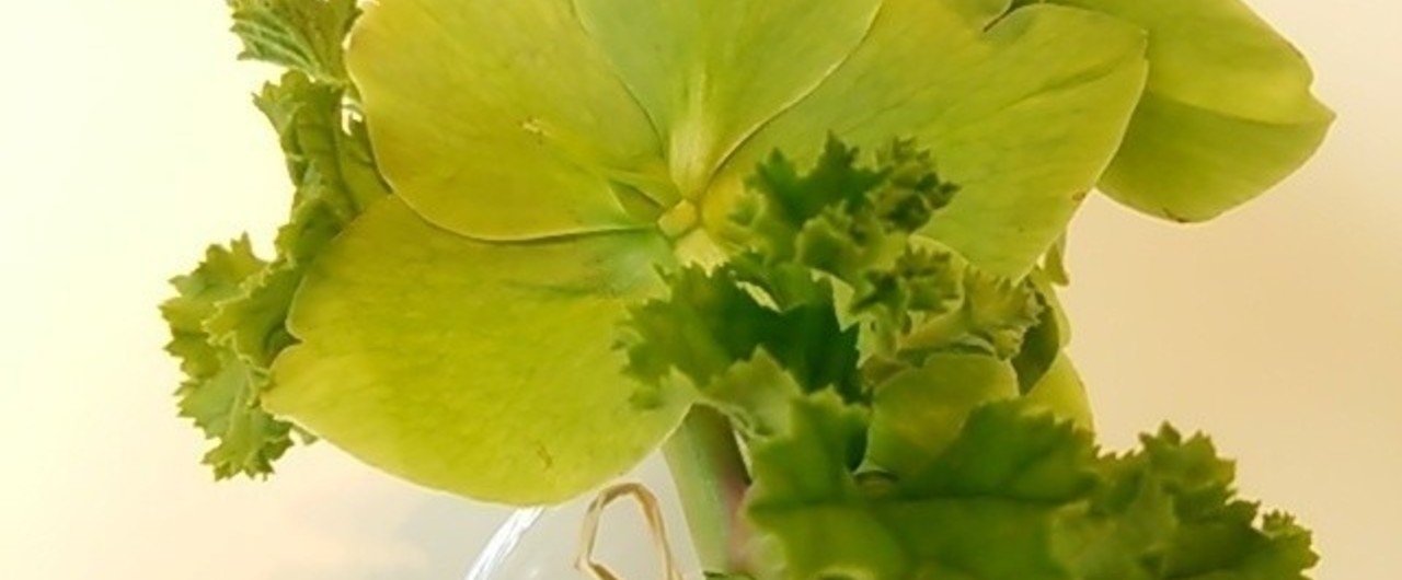 YOGA IS HOW TO LIVE.｜miyoga｜note