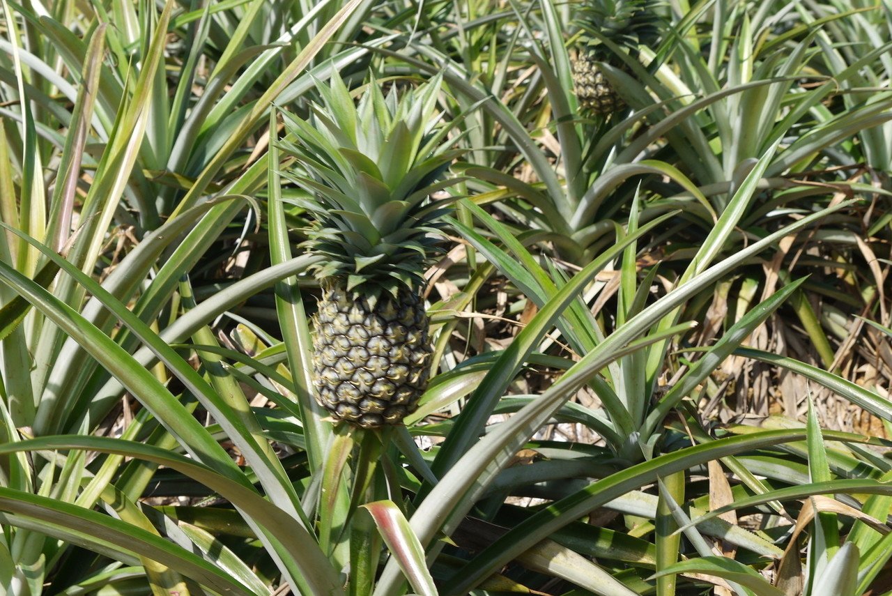 17｜kazuki takeuchi