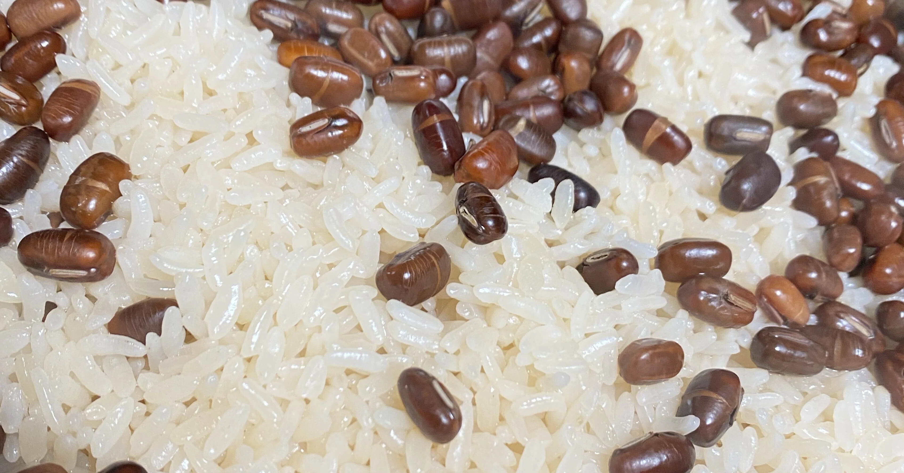 umetora_onigiri｜note