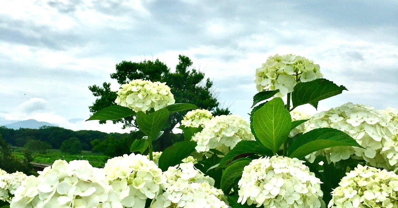 リコとリタ｜Emi Kodama｜note