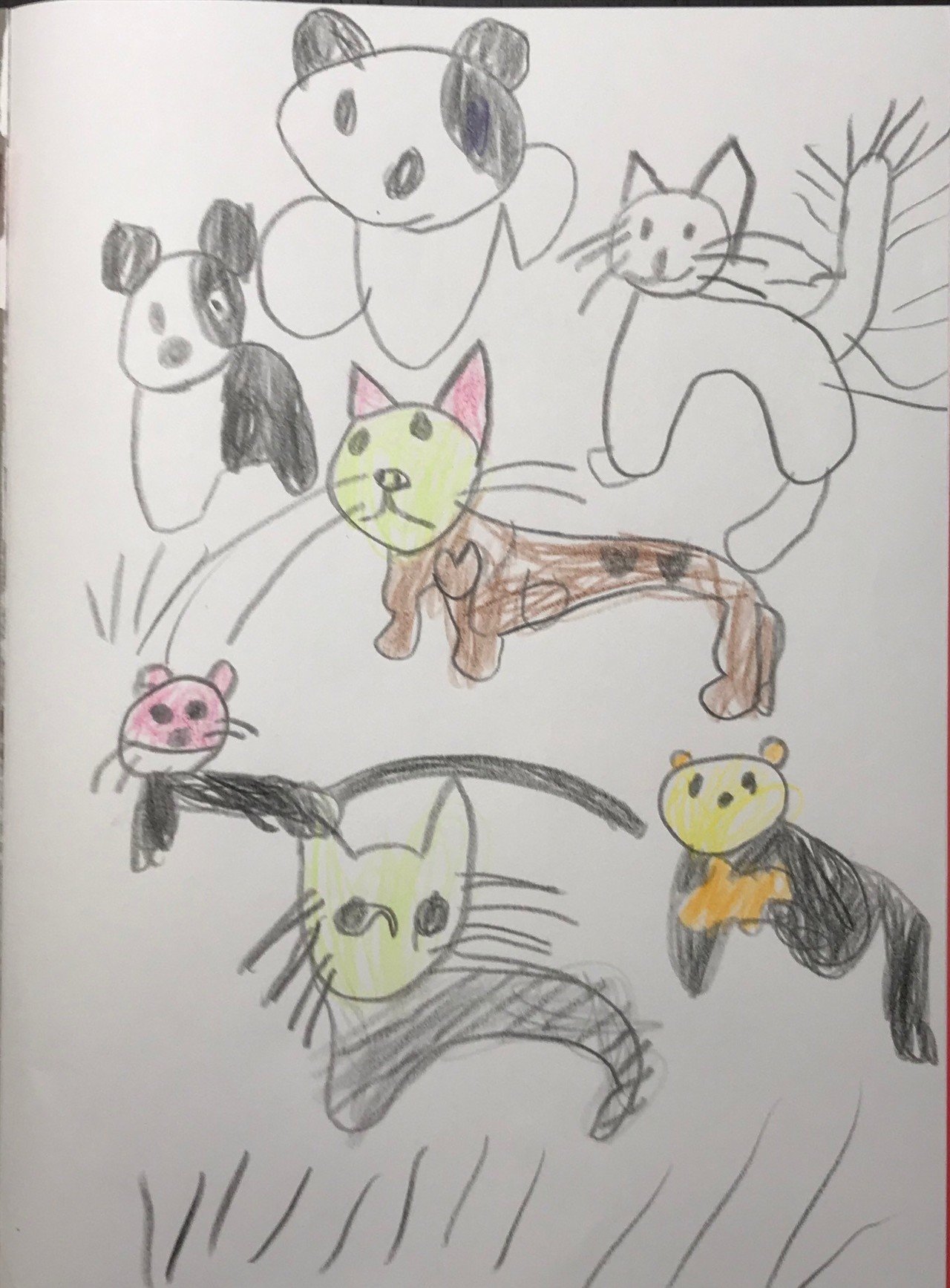 ネコ目いろいろ｜Renita｜note