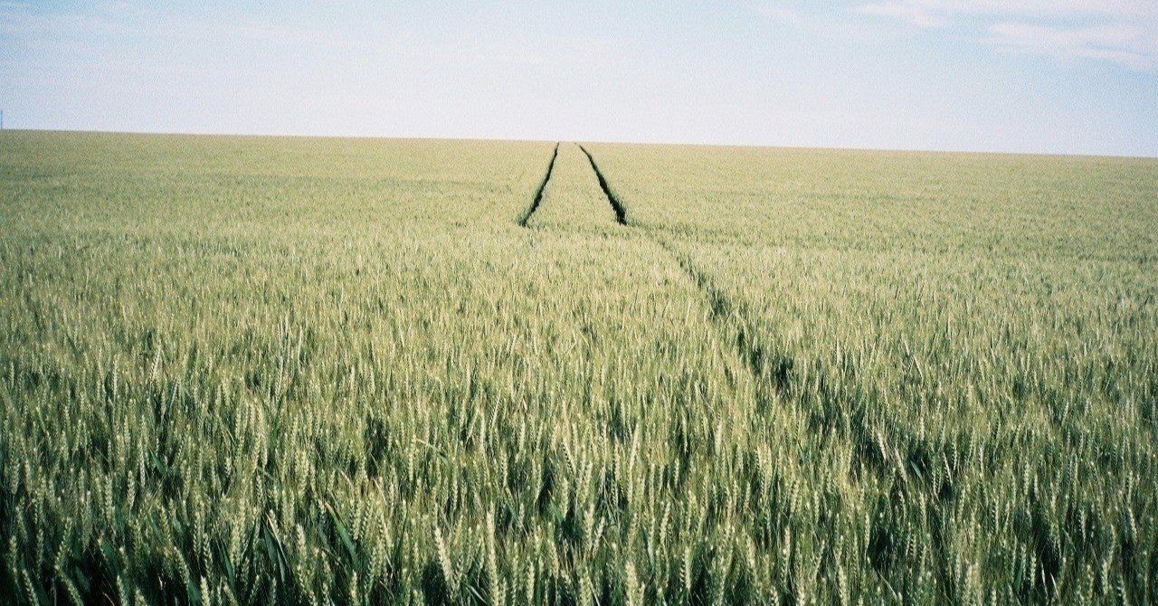 つれづれに｜五十嵐浩司 //Koji Igarashi｜note