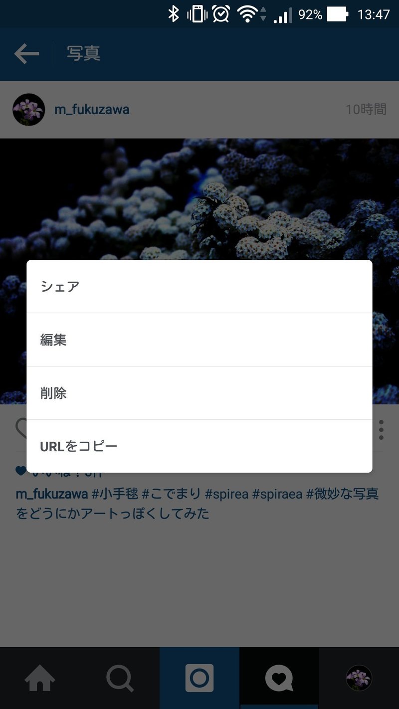 Instagram貼り付けテストと雑感。｜charly_jp｜note