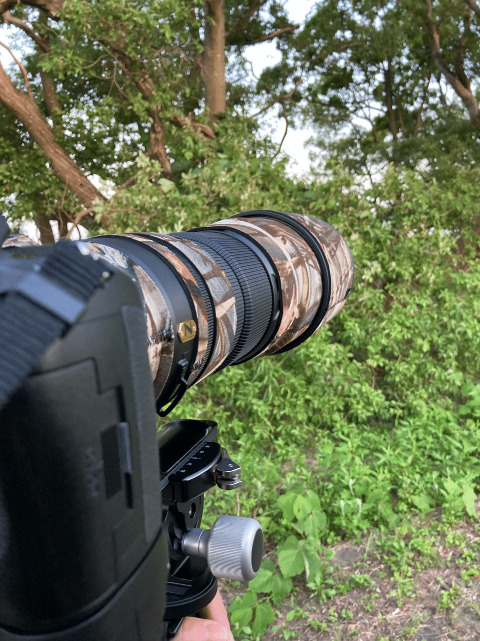 写真｜platypus2000jp