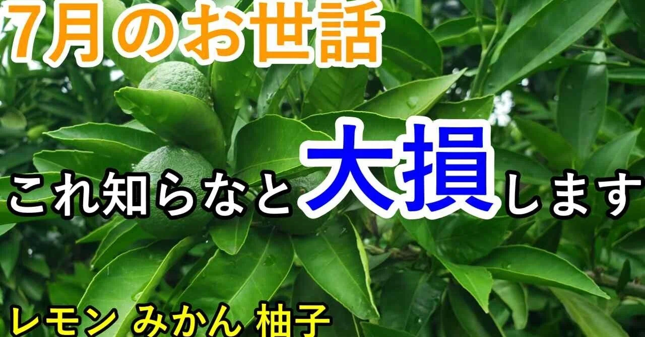 [Fukaya Village Blog] What are Summer Shoots? The 'Future of Fruit ...